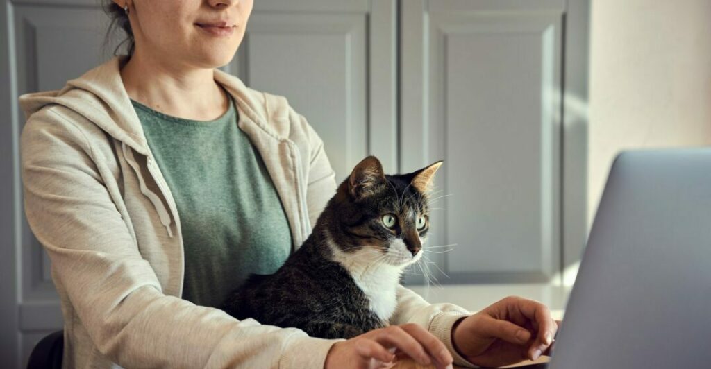 10 animal sounds in different languages - Lingoda